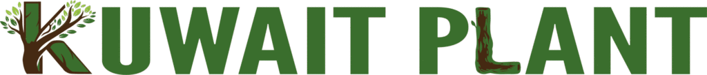 kuwait plants | نباتات الكويت