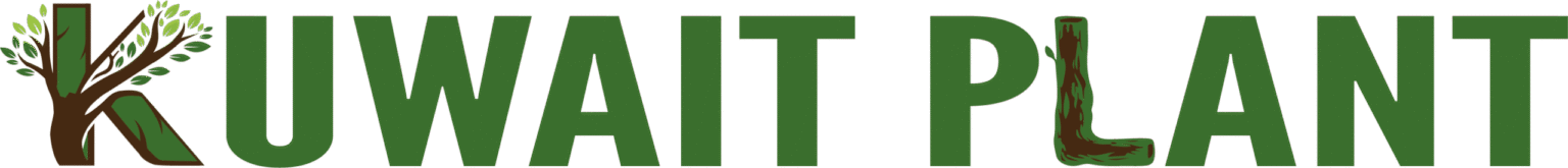 kuwait plants | نباتات الكويت