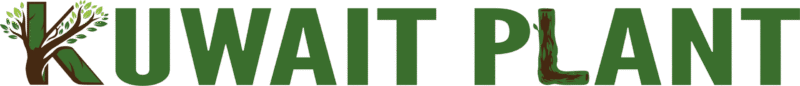 kuwait plants | نباتات الكويت