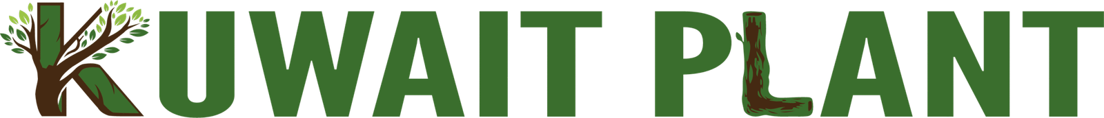 indoor plants – Page 5 – kuwait plants | نباتات الكويت